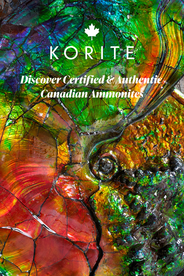 What Is Ammolite? Value, Rarity & Care Explained – KORITE