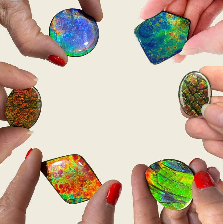 The Collector’s Dream: KORITE’s First-Ever Loose Ammolite Gemstones