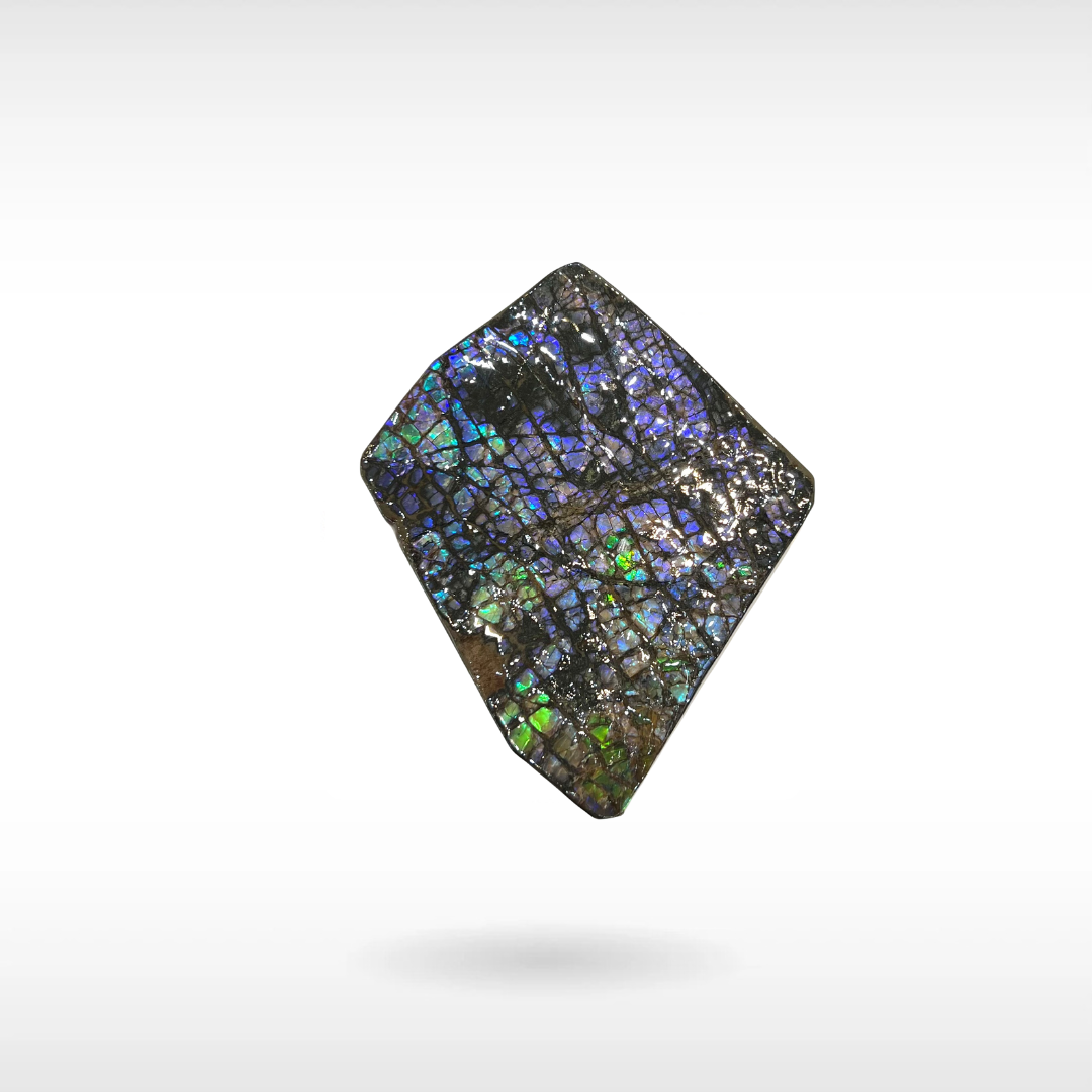 Freeform Ammolite - Handheld – KORITE