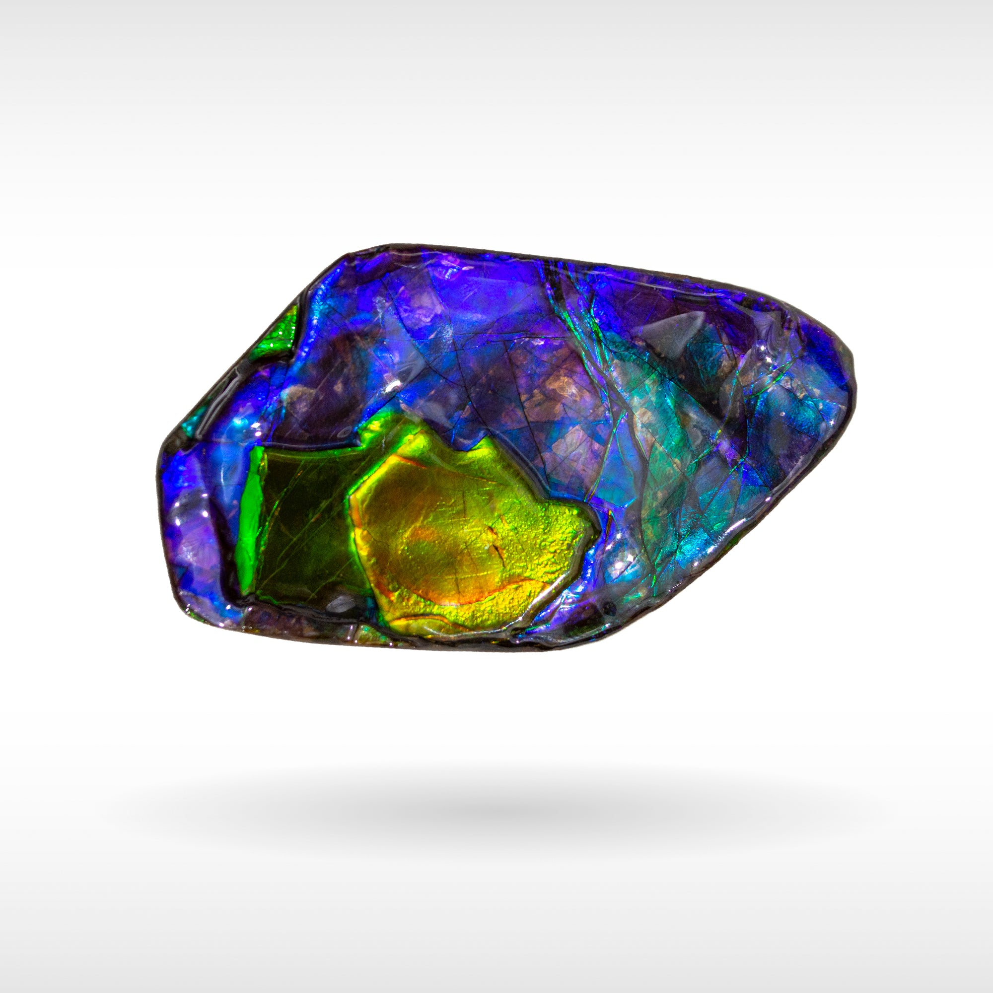 KORITE | Shop Ammolite Jewelry | Canadian Made Jewelry