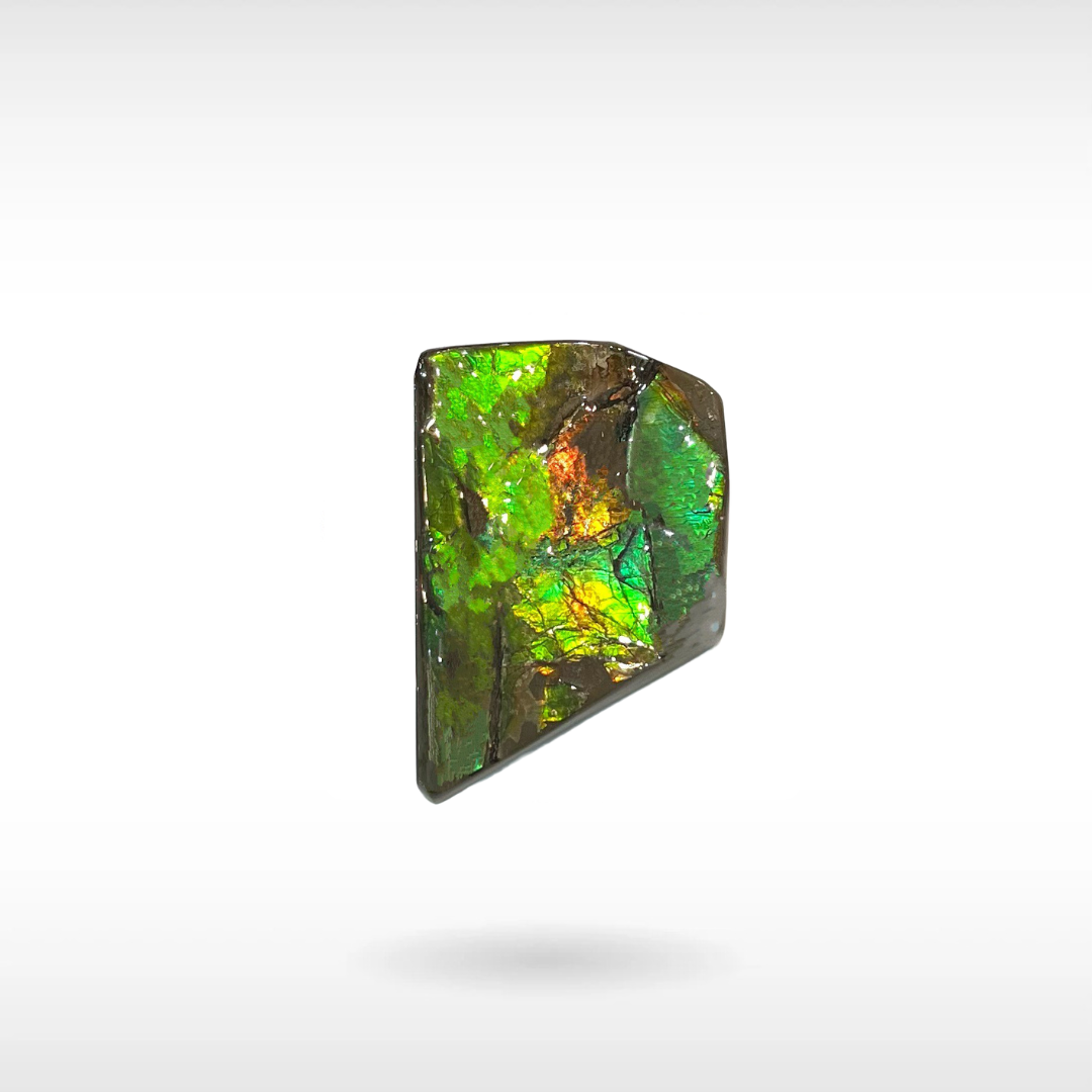 Freeform Ammolite - Handheld – KORITE