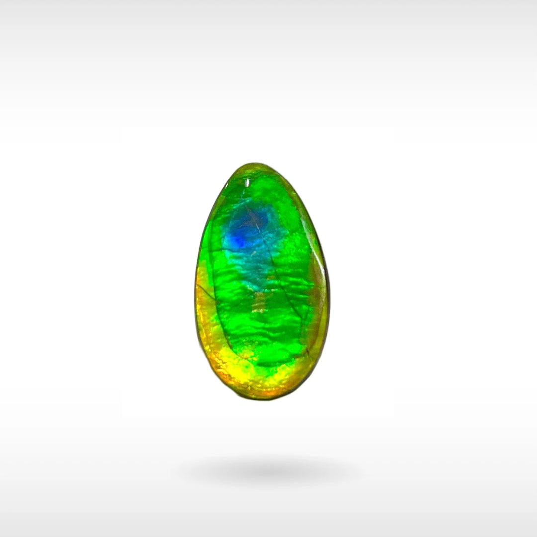 Natural Ammolite Stone – KORITE