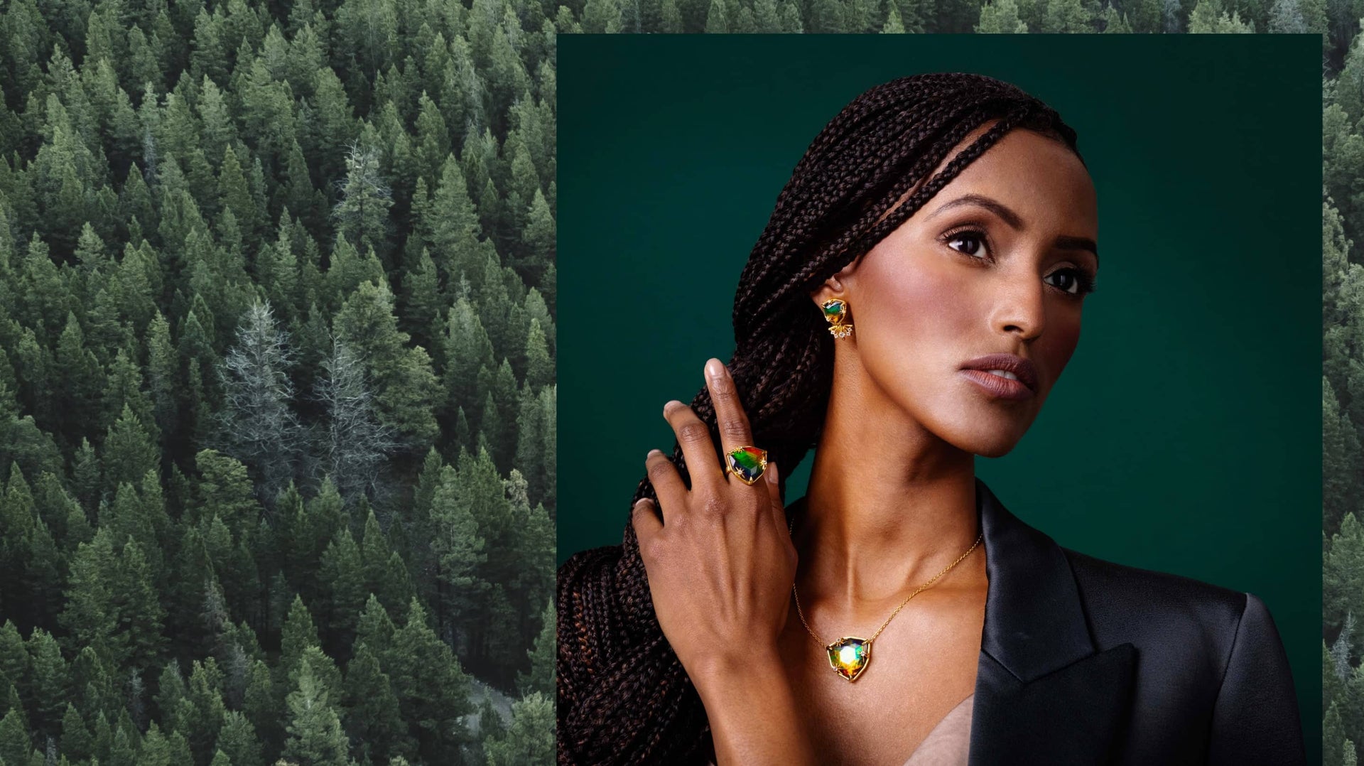 Korite-Ammolite – KORITE