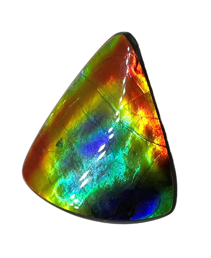 Natural Ammolite Stone – KORITE