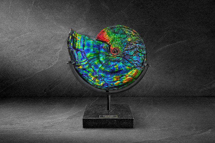 Trade Shows & Events | Meet KORITE